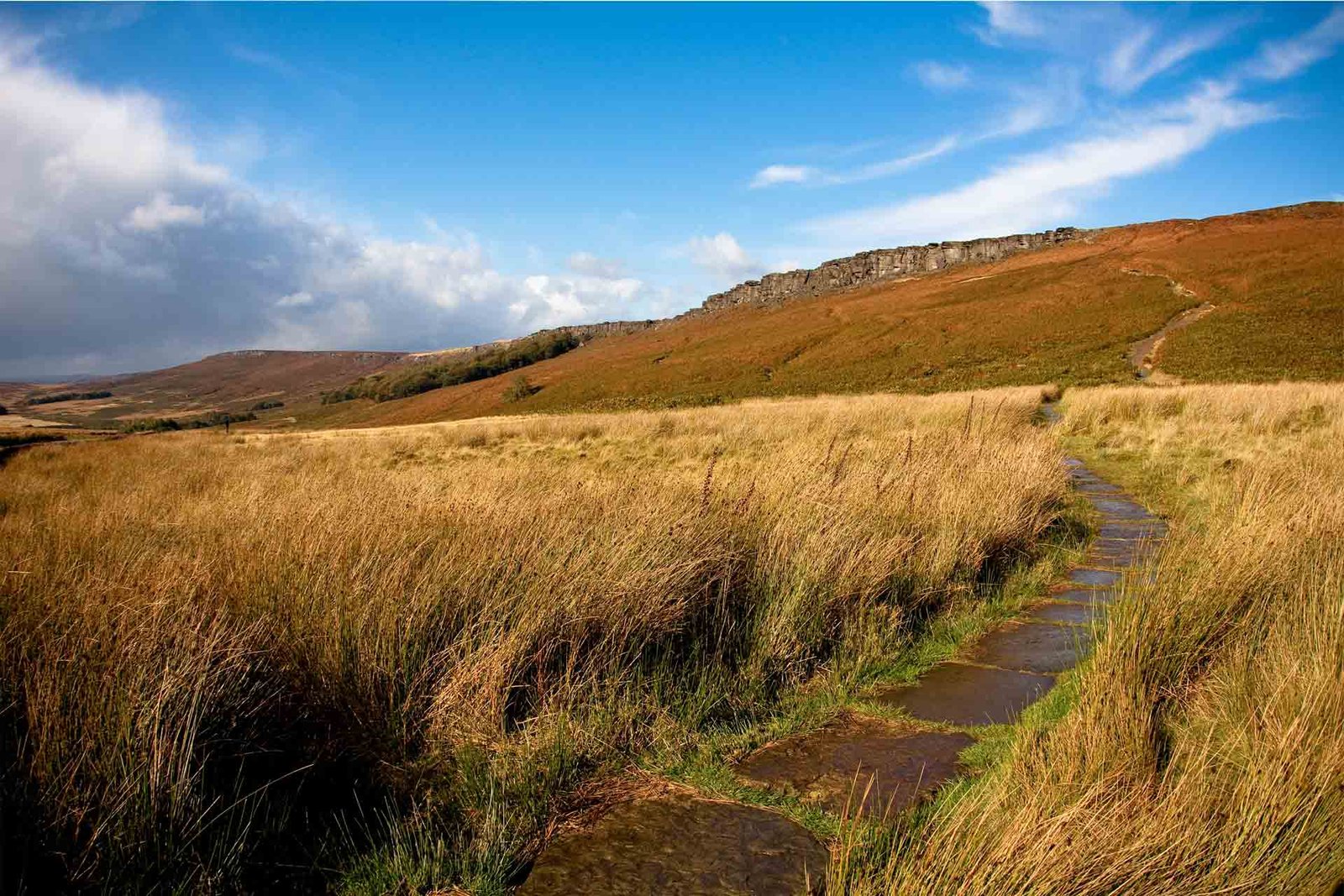 Outdoor Activities for Schools and Youth Groups